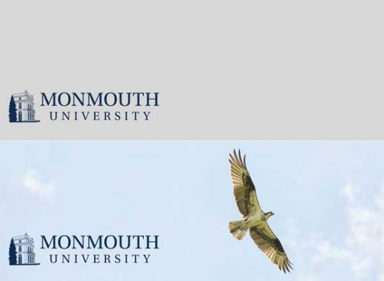 Primary Identity | Brand Resources | Monmouth University