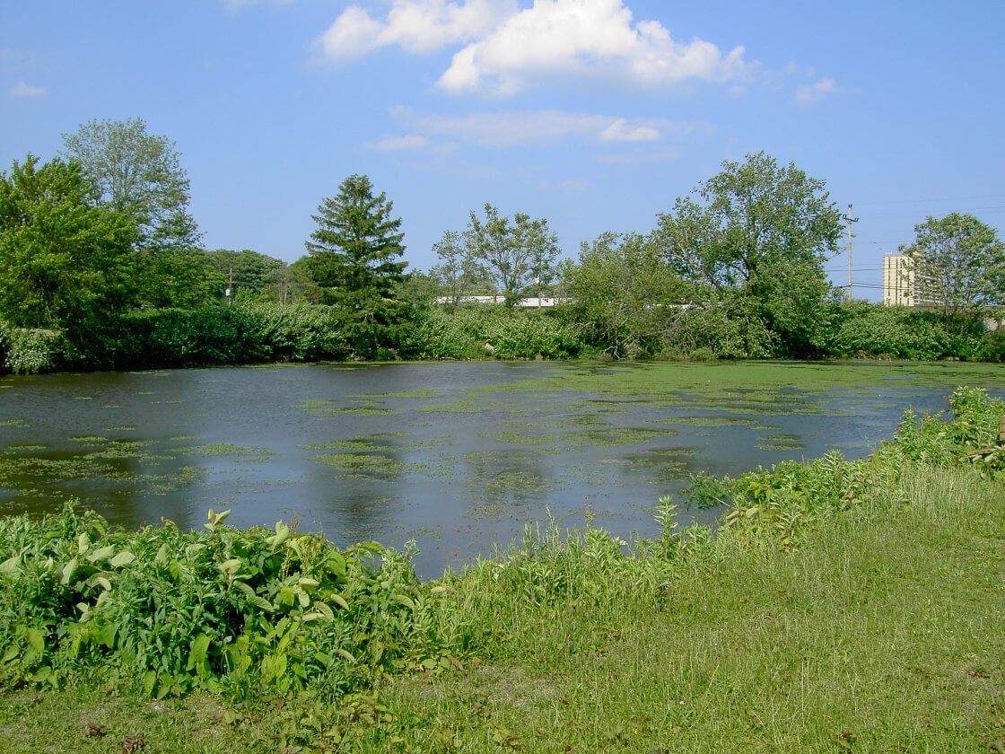 CLONet - Coastal Lakes Observing Network | CLONet - Coastal Lakes ...