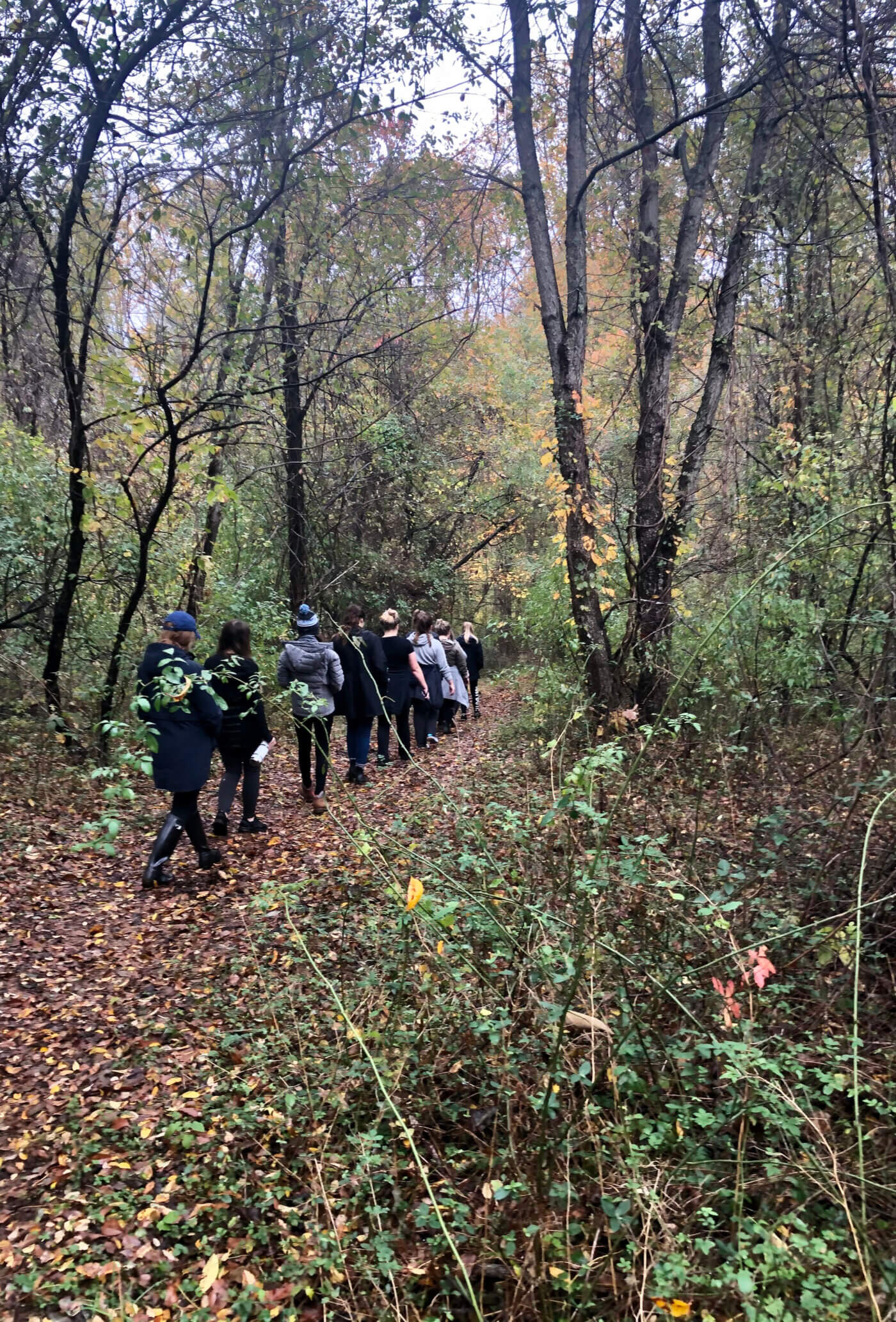 Ecotherapy Specialization - Counseling with Nature | Professional ...