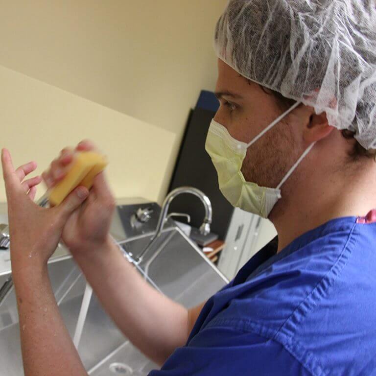 PA - Physician Assistant - Admission Requirements | Monmouth University | New Jersey