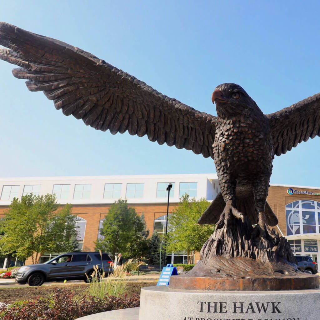 There’s a New Hawk in Town | News | Monmouth University