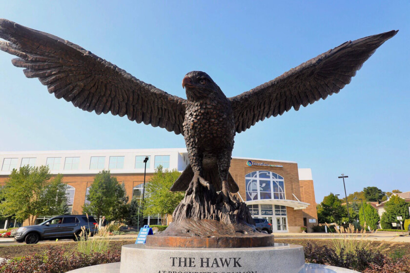 There’s a New Hawk in Town | News | Monmouth University