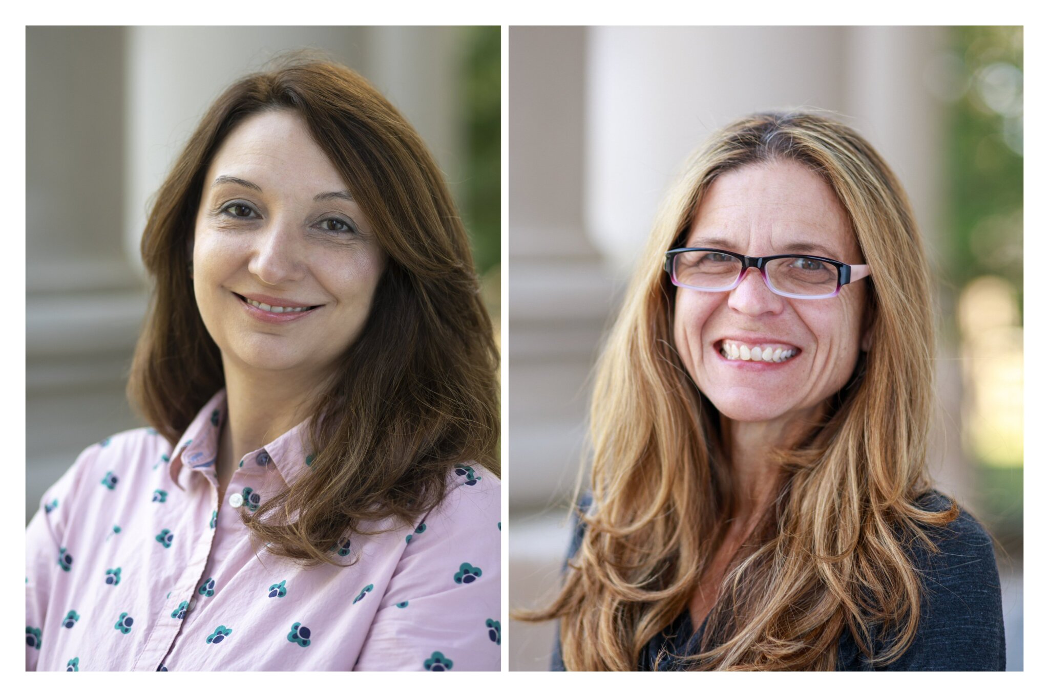 Profs. Vujnovic and Foster Publish "Higher Education and Disaster ...