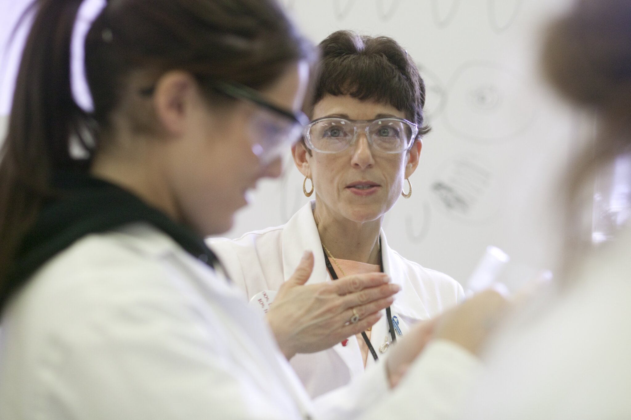 Biology's Dr. Lionetti named the 2023 Distinguished Teacher! | School ...