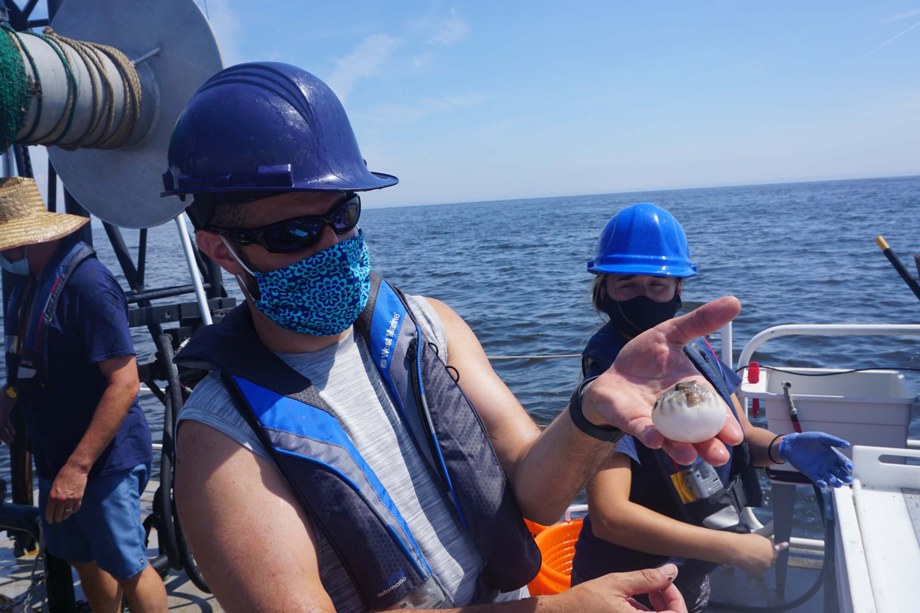 Who Lives in the Lower Hudson-Raritan Estuary? Comparing Net Results ...