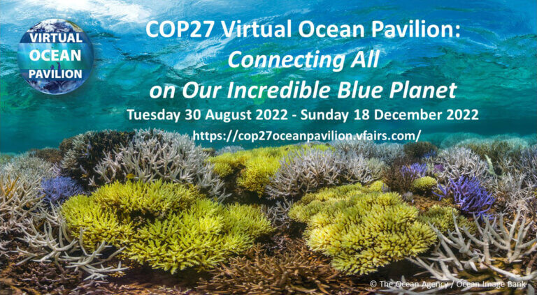 Visit the COP27 Virtual Ocean Pavilion | Urban Coast Institute | Monmouth University